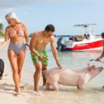 Swimming Pigs & ATV Tour - What Makes This Tour Stand Out?
