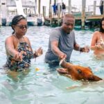 Swimming Pigs Of Rose Island & Beach Day - Group Tour - The Cost & Value