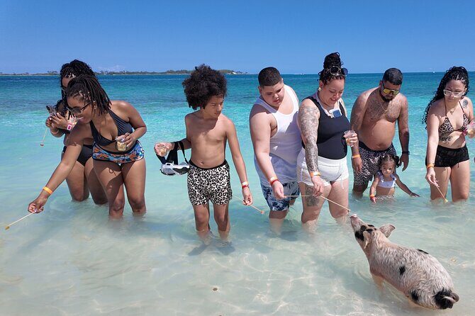 Swimming Pigs, Snorkeling and Beach Tour in Nassau Bahamas - Who Will Love This Tour?