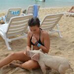 Swimming Pigs & Tour with Transportation to Rose Island - What to Expect on the Tour