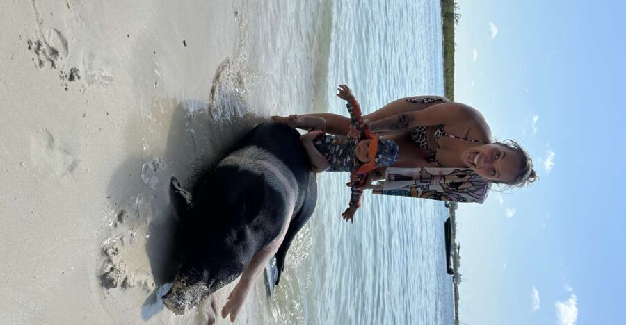 Swimming with the pigs, turtles and reef snorkeling!!! - The Experience Provider: Its Aboat Time