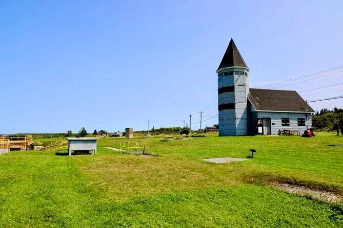 Sydney Sightseer City and Coastal Tour - The Travel Experience in Practice