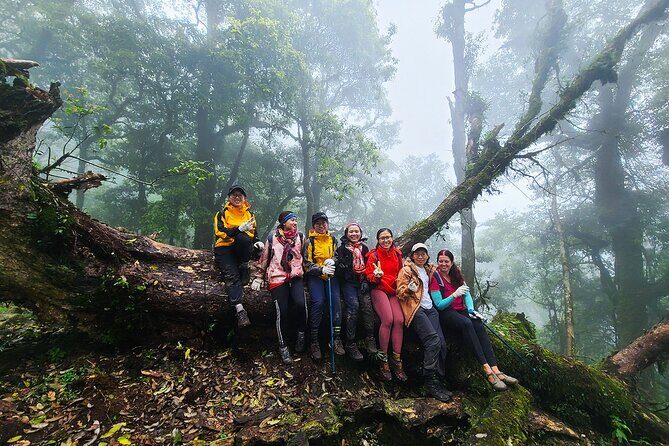 Ta Lien Son 2-Day Trekking Adventure from Hanoi - The Hike to Ta Lien Son Peak: The Heart of the Tour