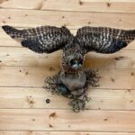 Tablet Tour in Wildlife Gallery - Who Will Love This Tour?