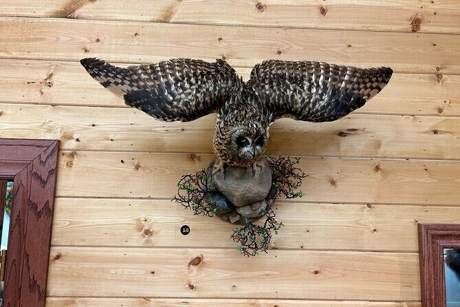 Tablet Tour in Wildlife Gallery - Who Will Love This Tour?