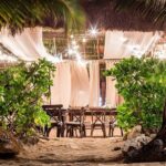 Taco Tours - Transportation, Timing, and Group Size