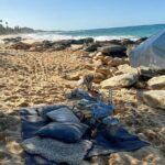 Tailor Made Luxury Picnic with Breathtaking Views - Practical Details and Final Thoughts