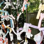 Tailored private Walking Tour in Kamakura with a Local Guide - Who Is This Tour Best Suited For?