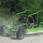 Taino Bay Shore Excursion - 2 person Buggy Tour - Who Will Love This Tour?