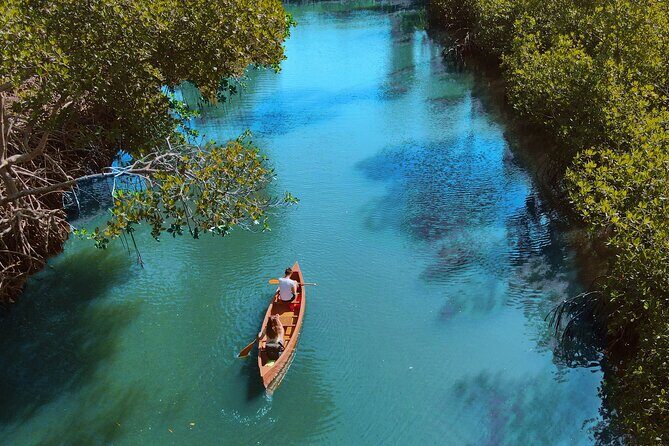 Tainos / Indigenas Los Haitises Caves and Mangroves Canoes Tour - A Full Review of the Los Haitises Caves and Mangroves Canoes Tour