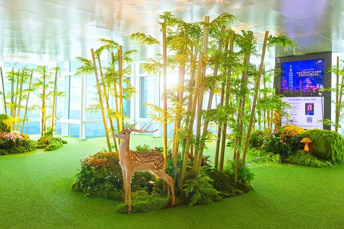 Taipei 101 Observatory Deck- 89th Floor E-ticket - Deep Dive: The Value of Your Ticket