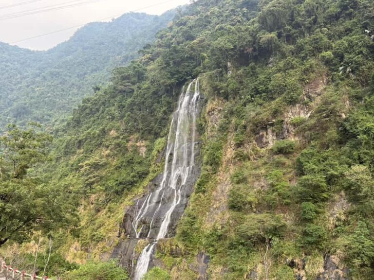 Taipei: Neidong Forest, Luxury Hot Spring & Bitan Boat Ride - In-Depth Breakdown of the Itinerary