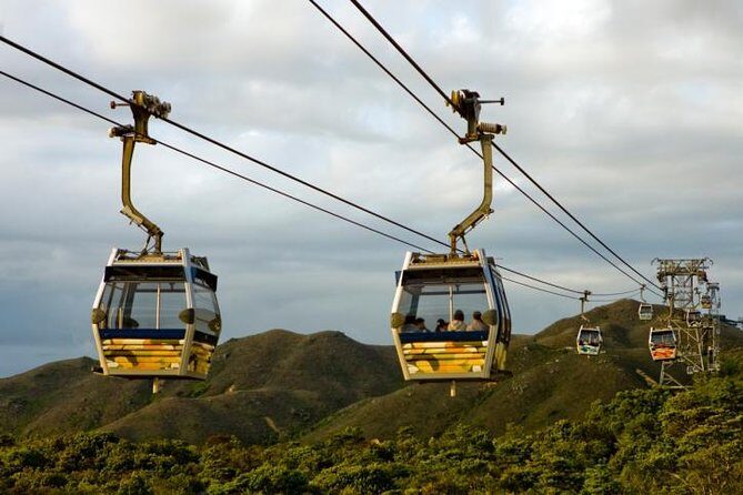 Taipei Zoo and Maokong Gondola tour - Customization and Flexibility: Making the Tour Your Own