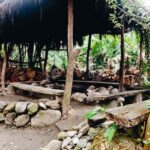 Taitung: Luan Mountain Forest Museum Guided Tour - Who is this tour best for?