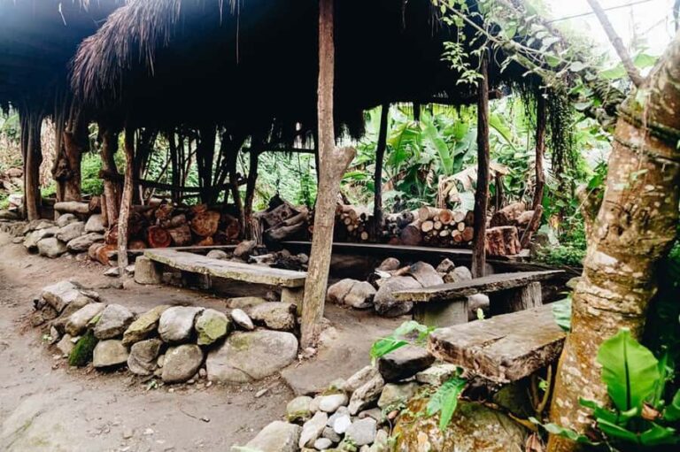 Taitung: Luan Mountain Forest Museum Guided Tour - Who is this tour best for?