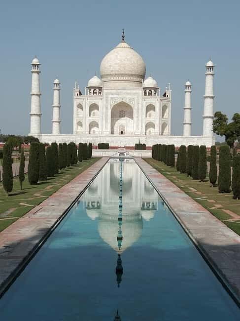 Taj Mahal and SOS Sanctuary: A Memorable Day from Delhi - What Makes This Tour Stand Out