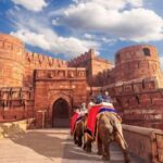 Taj Mahal Express Delhi to Agra Day Trip by Super-Fast Train - What Makes This Tour Stand Out?