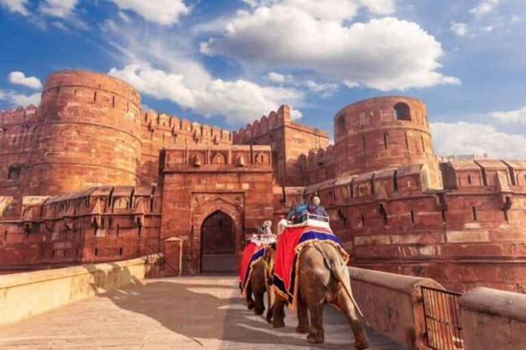 Taj Mahal Express Delhi to Agra Day Trip by Super-Fast Train - What Makes This Tour Stand Out?