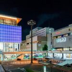 Takasaki Bar-Hopping Tour with Rooftop Bath Hotel Stay - An In-Depth Look at the Takasaki Nightlife Tour