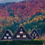 Takayama and Shirakawa Day Tour with Hida Beef Lunch from Nagoya - The Food: Hida Beef Lunch and Vegetarian Options