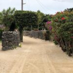 Taketomi Island Walk Tour with an Island Guide - Discovering Taketomi Island on Foot