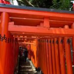 Tameike Exploring the Heart of Japanese Politics Tour - Practical Details: What You Need to Know