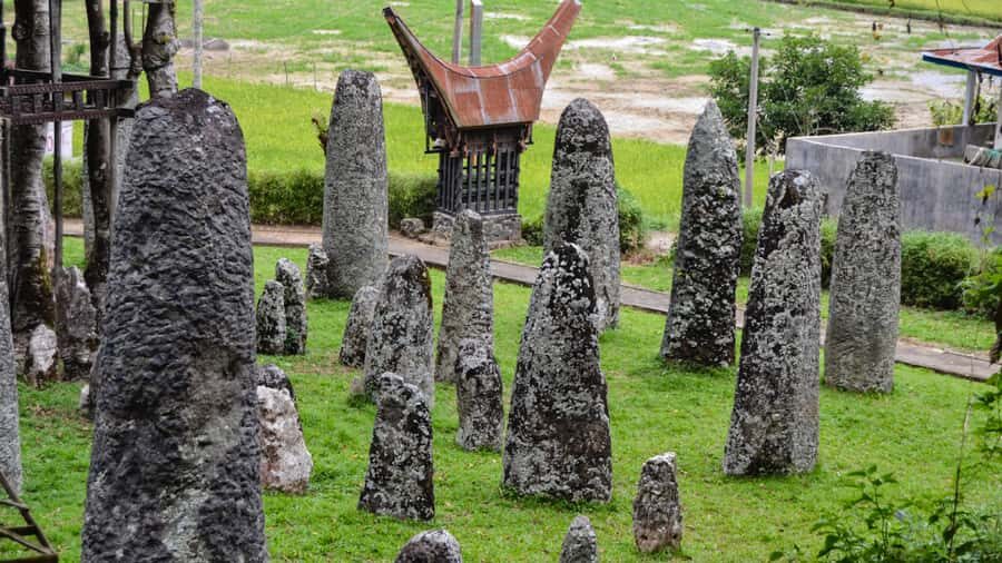 Tana Toraja: Explore Traditional Village and Nature Beauty - Who Should Consider This Tour?