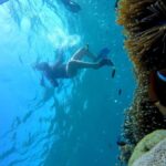 Tangsi Beach, Gili Gambir and Gili Petelu Snorkeling trip - What Travelers Say