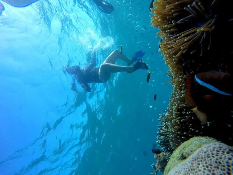 Tangsi Beach, Gili Gambir and Gili Petelu Snorkeling trip - What Travelers Say