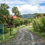 Tapachula: The Chiapas Coffee Route - What You Need to Know Before Booking