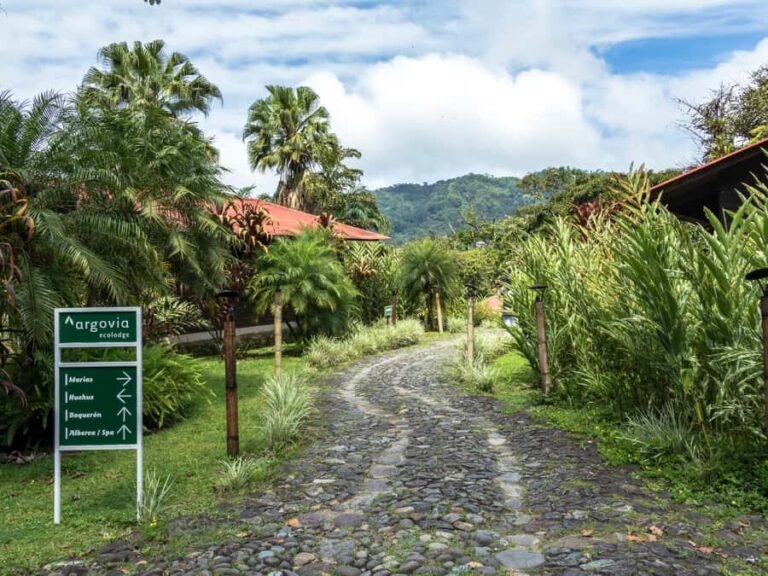 Tapachula: The Chiapas Coffee Route - What You Need to Know Before Booking