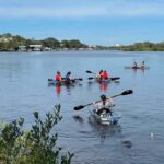 Tarpon Springs: Clear Kayak Eco-Tour with Manatee Viewing - The Itinerary: What You’ll Experience