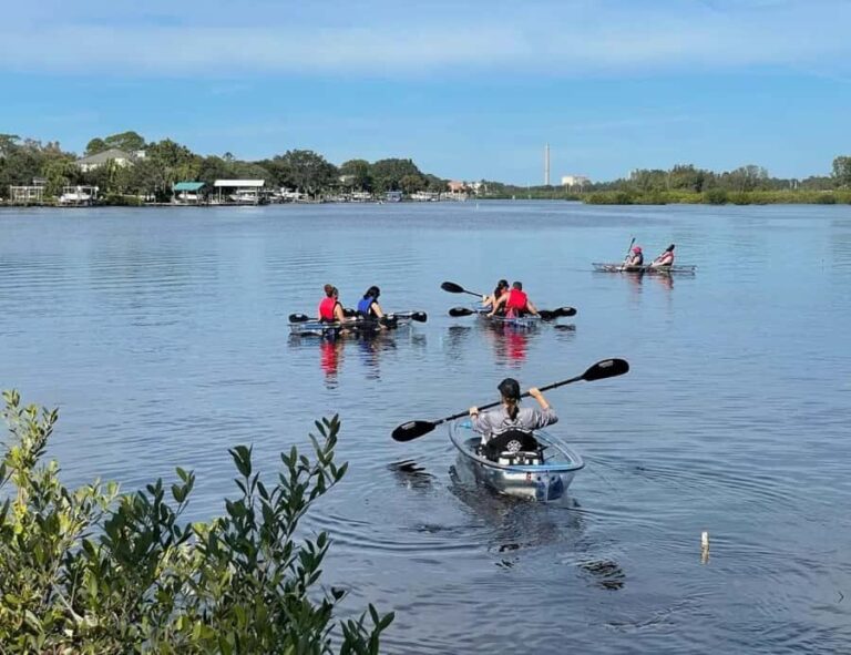 Tarpon Springs: Clear Kayak Eco-Tour with Manatee Viewing - The Itinerary: What You’ll Experience