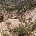 Tashkent: Tien Shan Mountains Guided Hike with Picnic - The Practicalities: What to Expect and How to Prepare