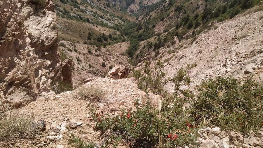 Tashkent: Tien Shan Mountains Guided Hike with Picnic - The Practicalities: What to Expect and How to Prepare