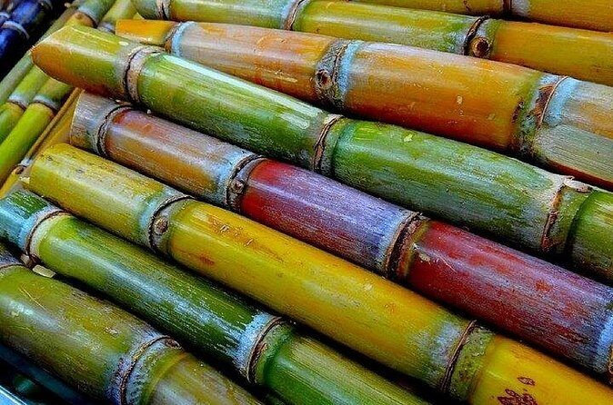 Taste of Grenada: Rum Hopping & Lunch - Fort Frederick: Panoramic Views and a Step Back in Time