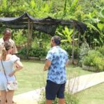 Taste of Jamaica Farm & Food Tour - Visiting the Farm and Fruit Trees