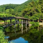 Tea Ceremony Charcoal Kiln Visit and Coffee Time in Uchiko Town - Authentic Experiences and Authenticity