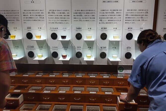 Tea Museum Shizuoka and Horaibashi Bridge Guided Tour-Van - Who Will Love This Tour?