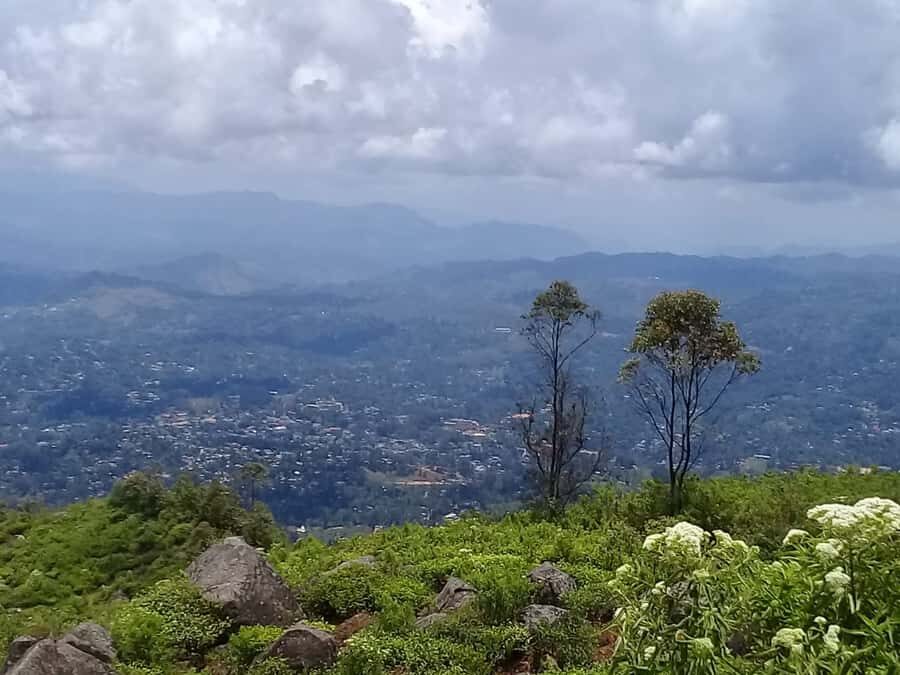 Tea Plantations By Tuk Tuk & Diyaluma Waterfall with Picnic - Key Points