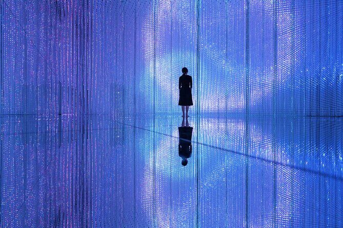 Team Lab Planets Tokyo Timed Entry Admission Ticket - Practical Tips for Visiting