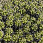 Tehucan Day Tour and Biosphere Reserve - Key Points to Remember