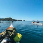 Telegraph Cove: 2-Hour Day or Evening Kayaking Tour - What to Expect on Your Kayaking Tour