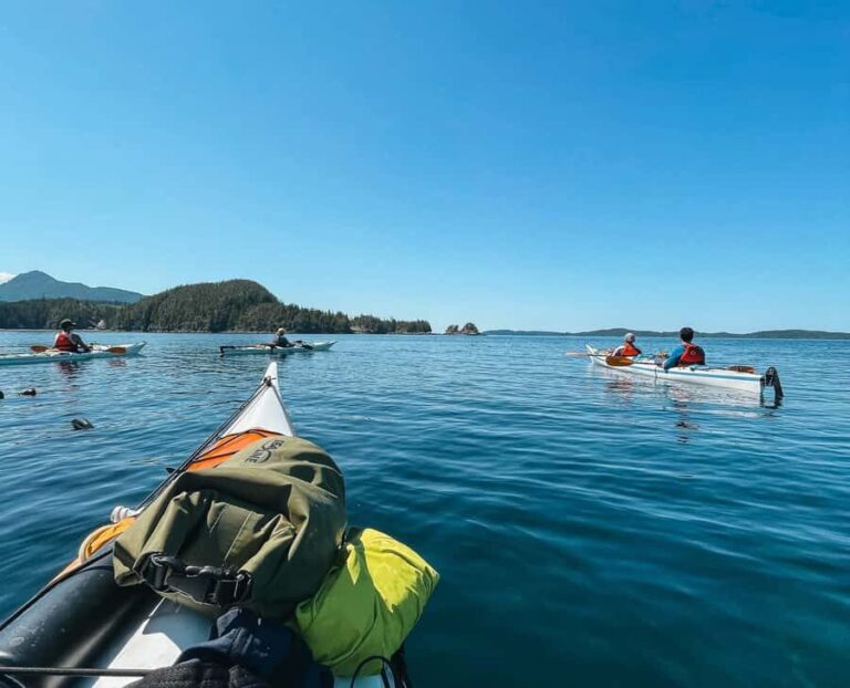 Telegraph Cove: 2-Hour Day or Evening Kayaking Tour - What to Expect on Your Kayaking Tour