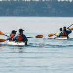 Telegraph Cove: Full-Day Trip Kayaking Tour - Itinerary Breakdown: What to Expect on Your Day
