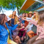 Temecula: VW Bus Wine Tour with Tastings - What We Love About This Tour