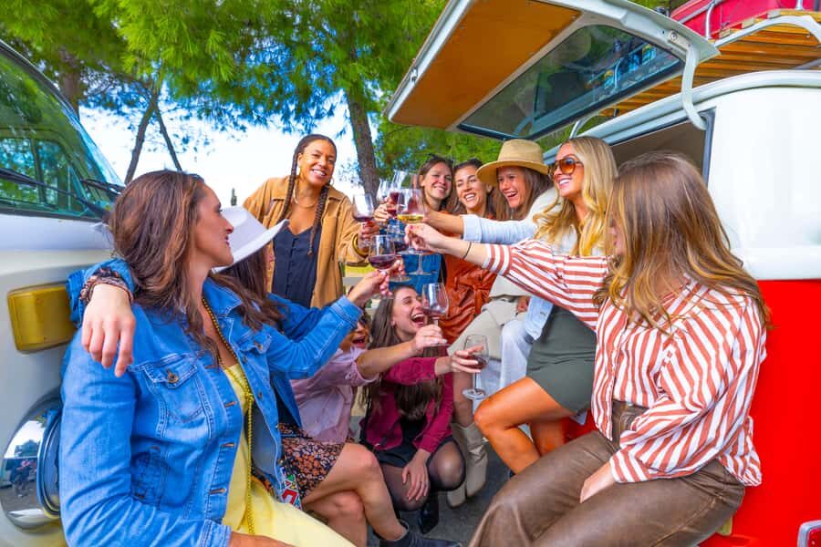 Temecula: VW Bus Wine Tour with Tastings - What We Love About This Tour