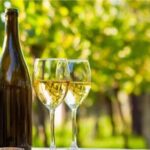 Temecula Winery Transportation - Final Thoughts