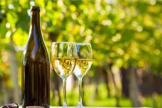 Temecula Winery Transportation - Final Thoughts