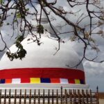 Temple Quest: Southern Pilgrimage Tour from Hambantota Port - What to Expect in Terms of Logistics